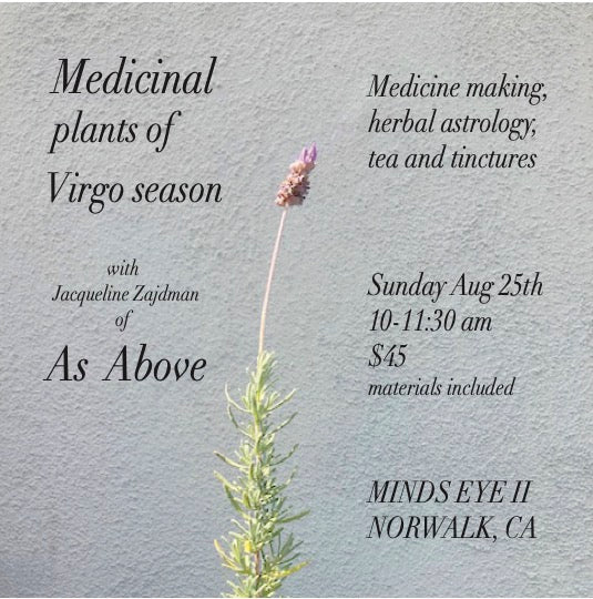 Medicinal Plants of Virgo Season – The Mind's Eye II
