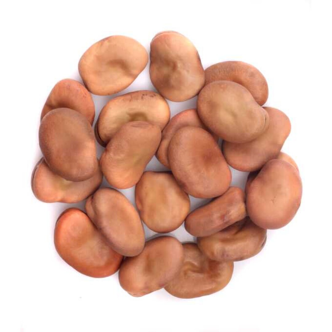 Mojo Beans (Vicia Faba) – The Mind's Eye II