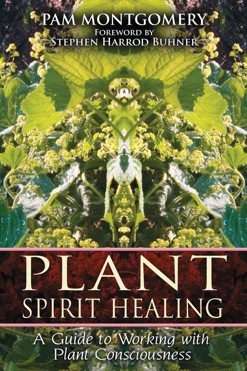Plant Spirit Healing: A Guide to Working with Plant Consciousness – The ...