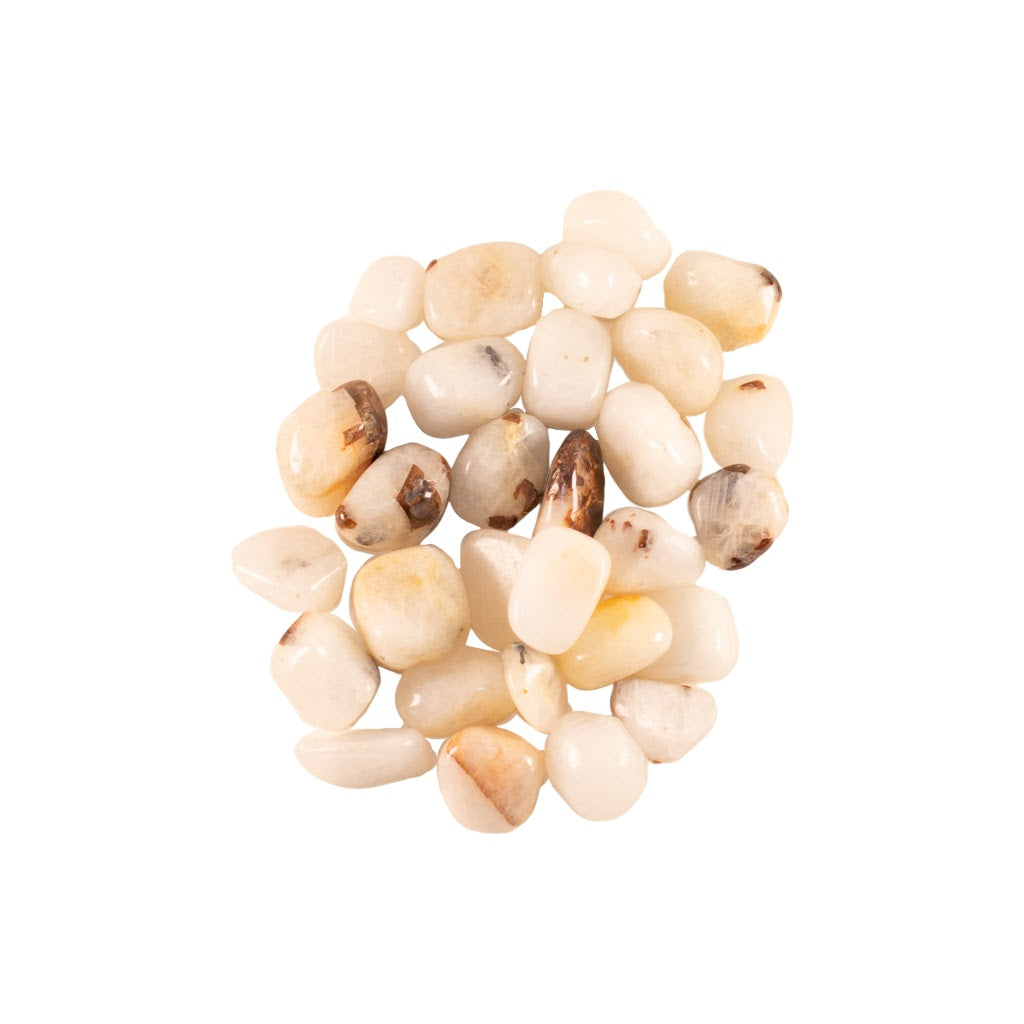 Cryolite – The Mind's Eye II