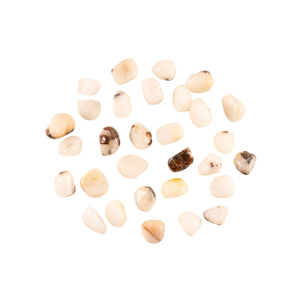 Cryolite – The Mind's Eye II