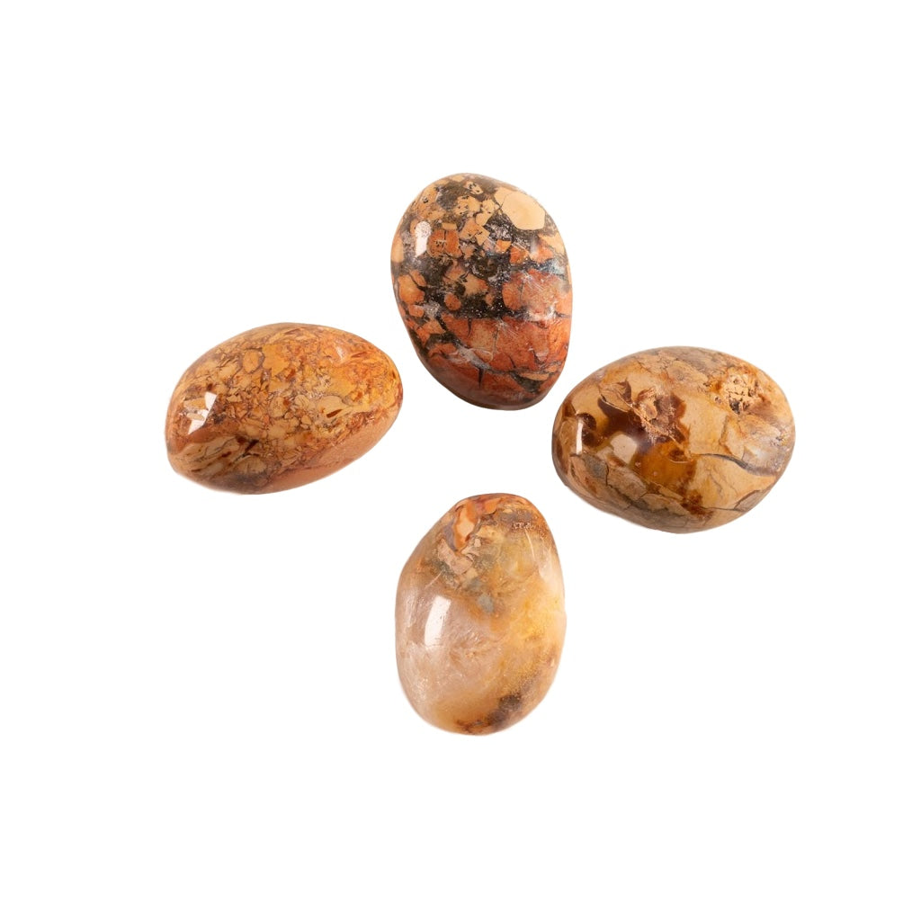 Ibis Jasper – The Mind's Eye II